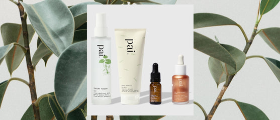 Natural Face Cleansers | Organic Cleansers | Pai Skincare